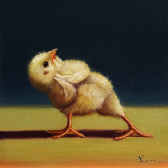 These Chickens Are More Flexible Than You!