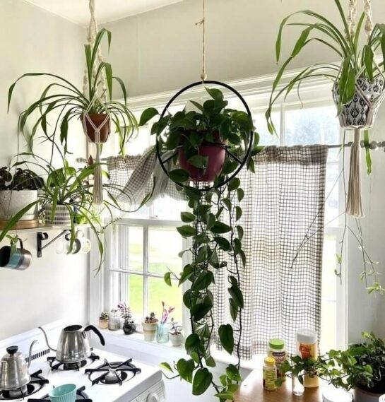 Creative Kitchen Design Mistakes To Avoid In The Coming Years