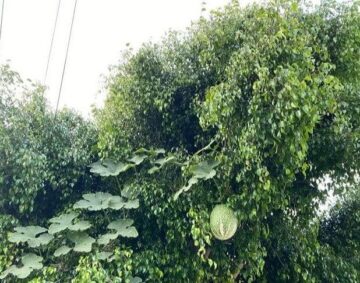 Real and Weird Photos That Show Our Planet's Unusual Side