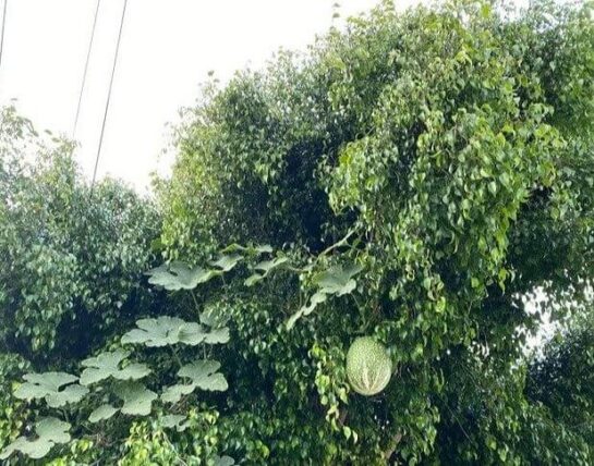 Real and Weird Photos That Show Our Planet's Unusual Side