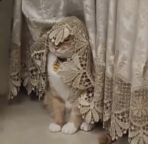 30+ Wow, Adorable! Post That Are Guaranteed To Make You Smile