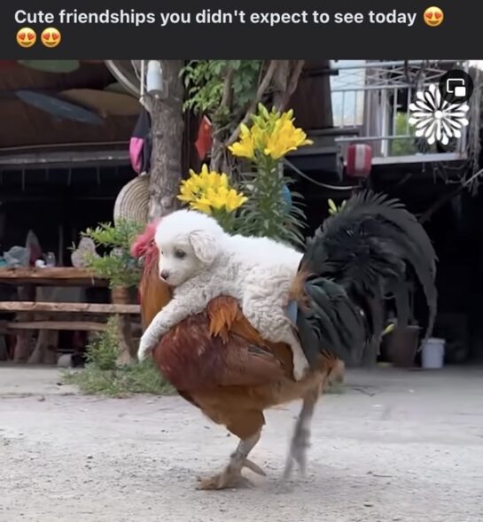 30 Wow Adorable Post That Are Guaranteed To Make You Smile