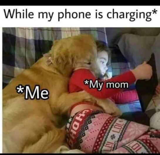 "Laughter Unites: The Best Mother-Daughter Memes Ever!"