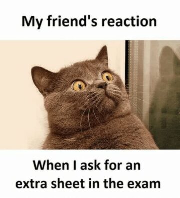 "Laughing Through the Finals: The Best Exam Memes"