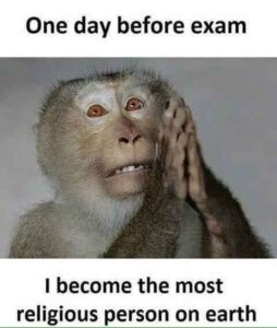 "Laughing Through the Finals: The Best Exam Memes"