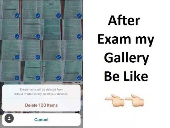 "Laughing Through the Finals: The Best Exam Memes"