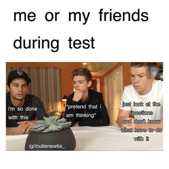 "Laughing Through the Finals: The Best Exam Memes"