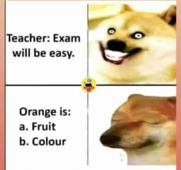 "Laughing Through the Finals: The Best Exam Memes"