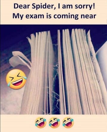 "Laughing Through the Finals: The Best Exam Memes"