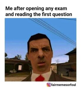 "Laughing Through the Finals: The Best Exam Memes"