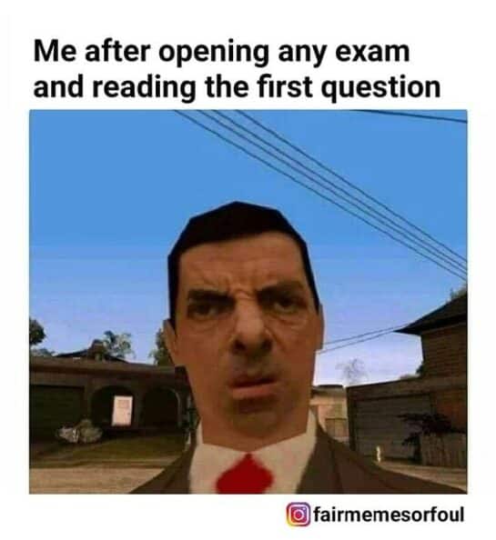 "Laughing Through the Finals: The Best Exam Memes"