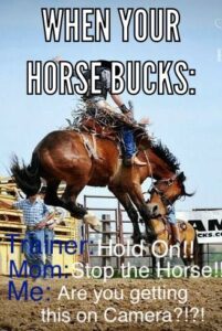 "Horsing All the Laughs: The Best Horse Memes Ever"