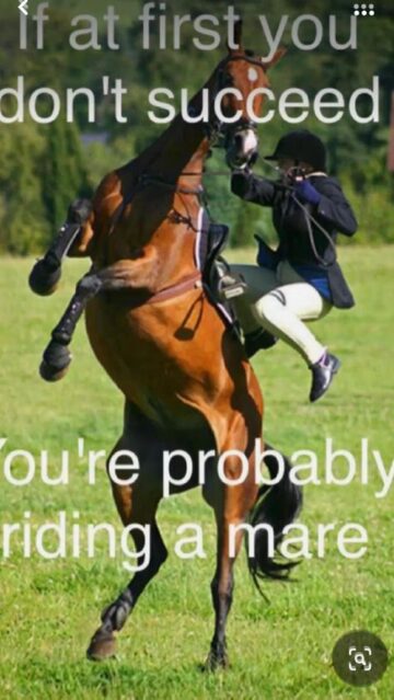 "Horsing All the Laughs: The Best Horse Memes Ever"