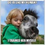 "Horsing All the Laughs: The Best Horse Memes Ever"