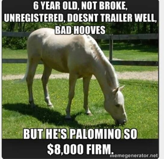 "Horsing All the Laughs: The Best Horse Memes Ever"
