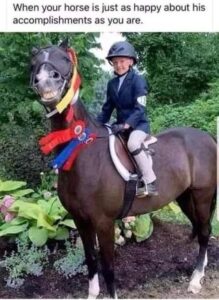 "Horsing All the Laughs: The Best Horse Memes Ever"