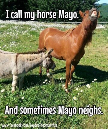 "Horsing All the Laughs: The Best Horse Memes Ever"