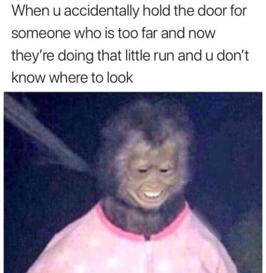 "Jest for Fun: Memes that Will Make Your Day"