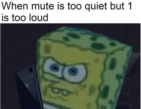 "Jest for Fun: Memes that Will Make Your Day"