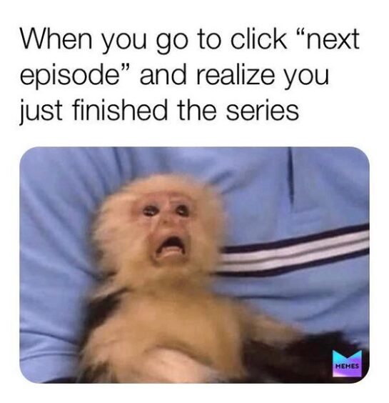 "Meme Magic: The Funniest Internet Jokes of the Year"