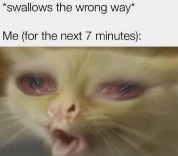 "Meme Magic: The Funniest Internet Jokes of the Year"