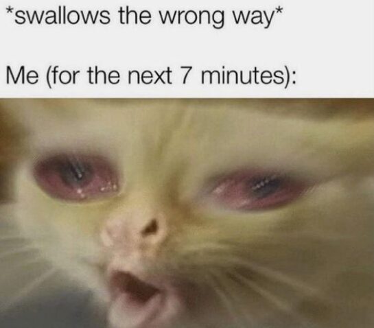 "Meme Magic: The Funniest Internet Jokes of the Year"