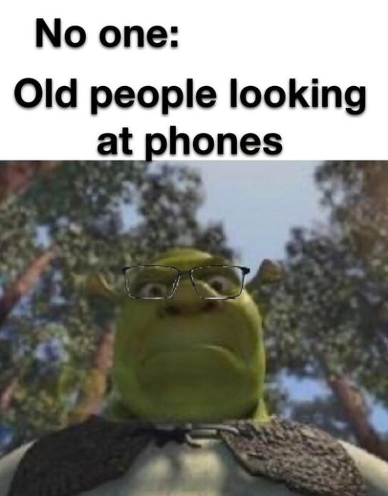 "Jest for Fun: Memes that Will Make Your Day"