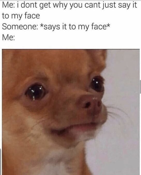 "Meme Magic: The Funniest Internet Jokes of the Year"