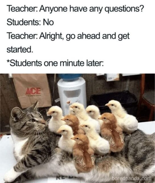 "Laughing Through Lessons: The Best Teacher vs. Student Memes"