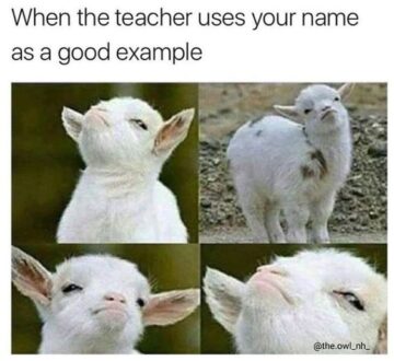 "Laughing Through Lessons: The Best Teacher vs. Student Memes"