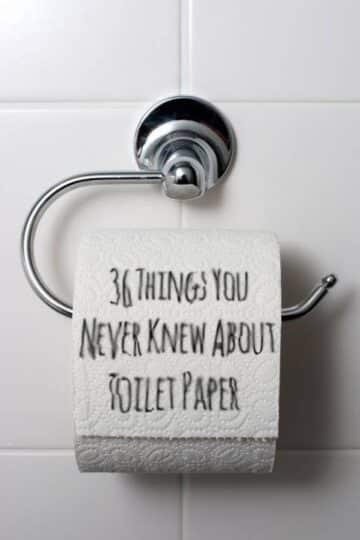 Laugh Your Rolls Off: Hilarious Toilet Paper Designs