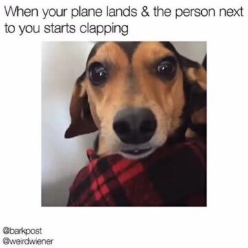 "Boarding Pass to Humor: The Best Travel Memes"