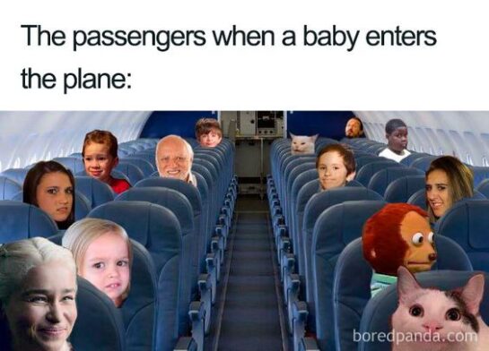 "Boarding Pass to Humor: The Best Travel Memes"