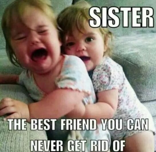 Laughing with Sis: The Ultimate Sisterly Memes