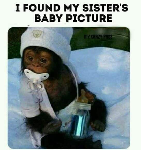 Laughing with Sis: The Ultimate Sisterly Memes