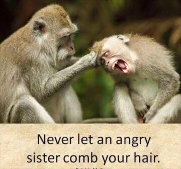 Laughing with Sis: The Ultimate Sisterly Memes