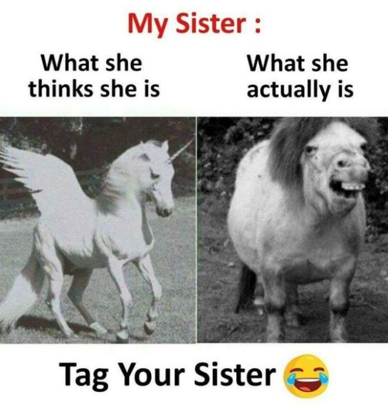 Laughing with Sis: The Ultimate Sisterly Memes