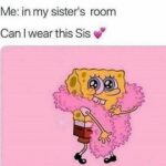 "Laughing with Sis: The Ultimate Sisterly Memes"