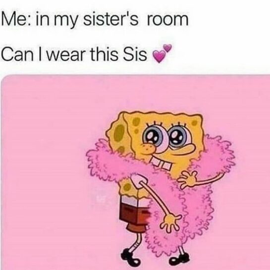 "Laughing with Sis: The Ultimate Sisterly Memes"