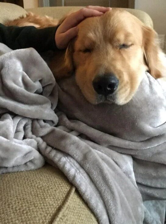 How to Get a Good Night's Sleep with Simple Hacks