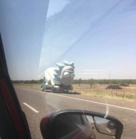 How to Take Hilarious Photos of Bizarre Things People Saw While Driving