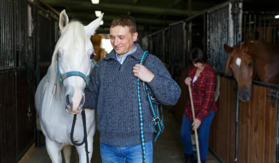 How to Handle the Aftermath of an Equine Birth