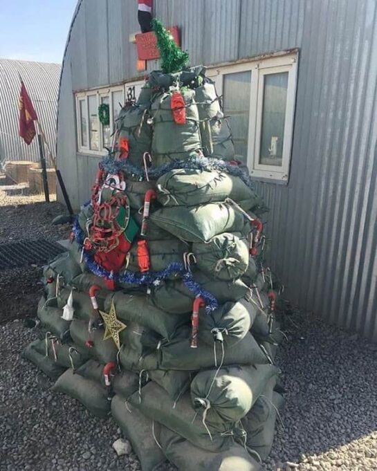 How to Choose the Perfect Christmas Tree for Santa's Heart