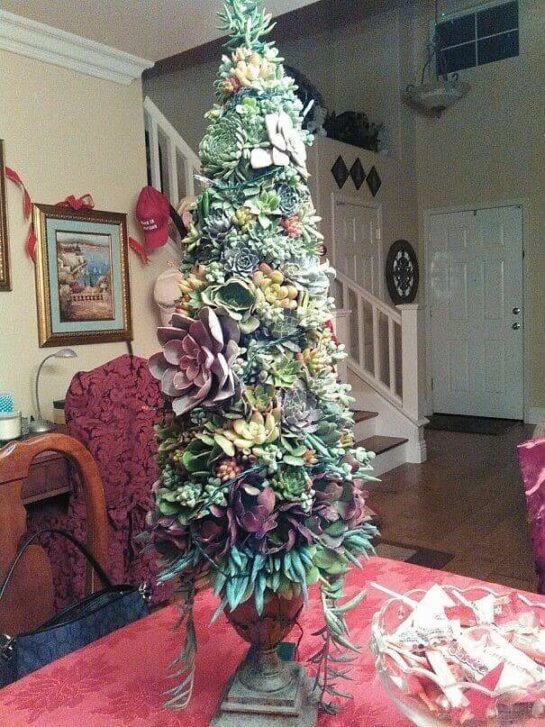 How to Choose the Perfect Christmas Tree for Santa's Heart