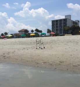 How To Capture The Funniest Beach Moments Ever Caught On Camera
