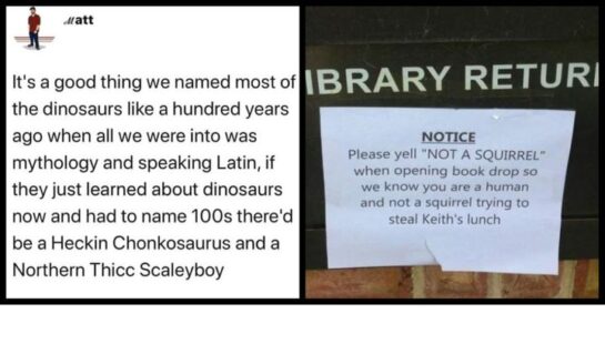 36+ Times People Said Hilariously Weird Phrases