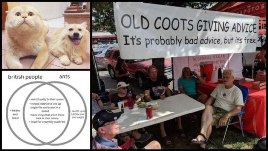 40+ Funny Posts That Make Our Day Brighter