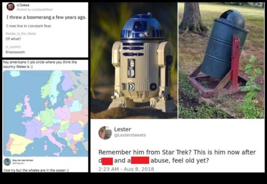 36+ Hilarious Jokes That Went Over People's Heads