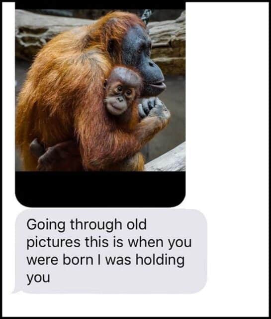 40+ Savage Insults That Are Hard to Recover From
