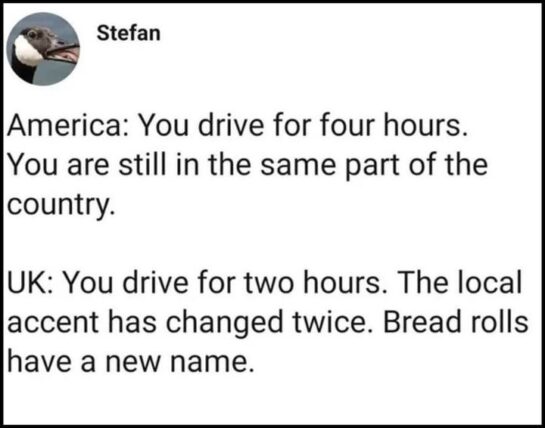 40+ of the Best Posts on the Internet Ever